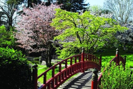 The Insider’s Guide to the Must-See Gardens of Paris - France Today