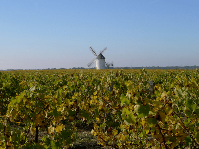 10 Amazing Things to Do in the Vendée - France Today