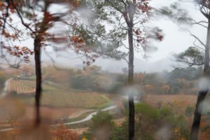 Check out Rachel Cobb’s Gorgeous Photos in “Mistral, the Legendary Wind ...