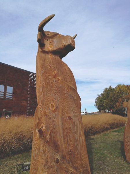 What to See and Do in Limousin - France Today
