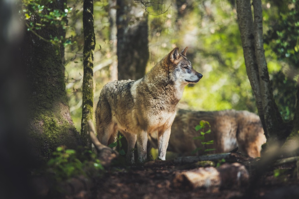 10 Reasons to Visit the French Ardennes - France Today